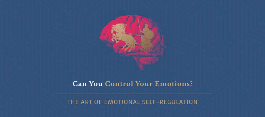 Can You Control Your Emotions? The Art of Emotional Self-Regulation ...
